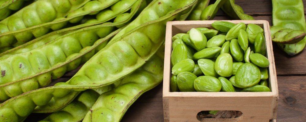 Busuk Bukan Sebarang Busuk, Ini Khasiat Dan Cara Hilangkan Bau Petai ...