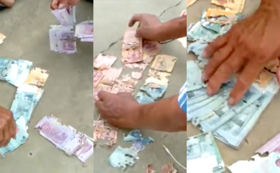 (Video) Bukan Puluh, Tapi Ribuan Ringgit Duit Simpanan Habis Dimakan Anai-Anai
