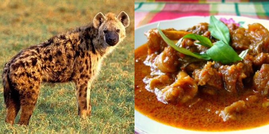 Boleh Ke Makan Daging Dubuk? Jangan Ambil Mudah, Ketahui Hukum Dan ...