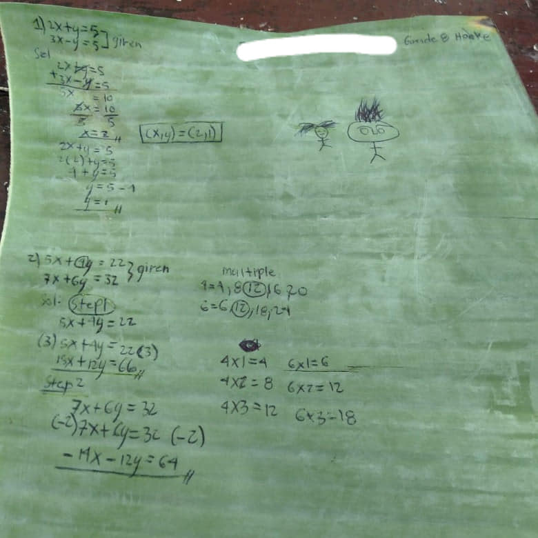 Miskin Tak Jadi Penghalang, Foto Budak Salin Nota Matematik Atas Daun ...