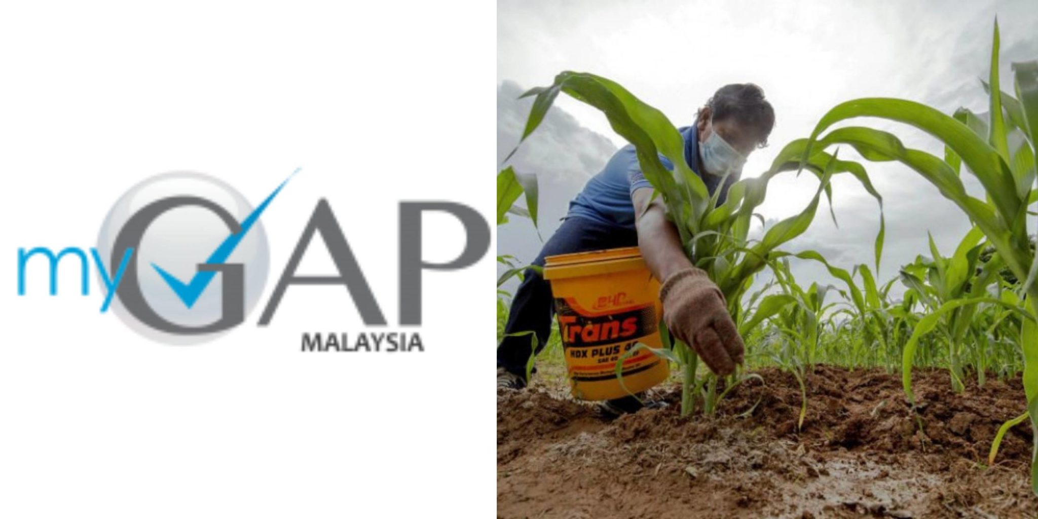 MyGAP Sangat Penting Kepada Golongan Peladang Pada Era Globalisasi