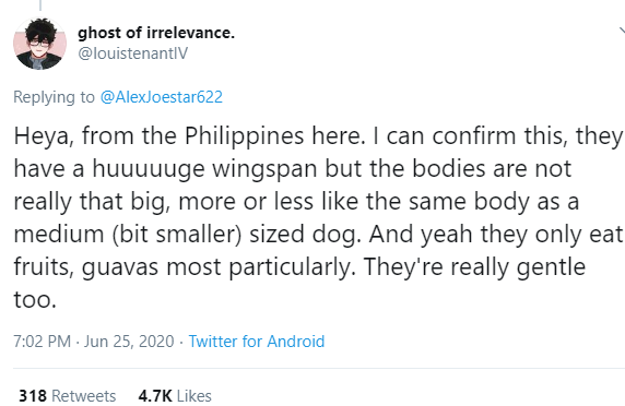 Tular Gambar Kelawar Saiz Seperti Manusia, Ramai Yang Tak Tahu Ia ...