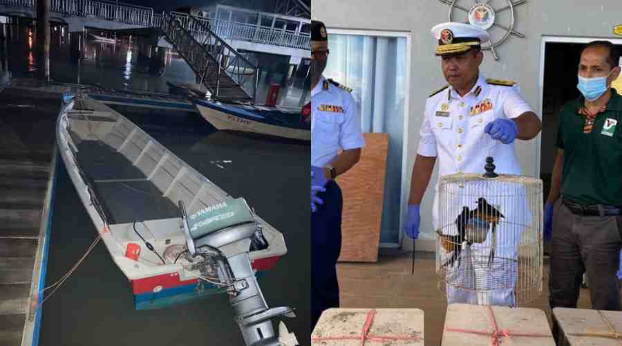 Tekong Bot Maut Terkena Tembakan Ketika Cuba Seludup Keluar Burung Murai