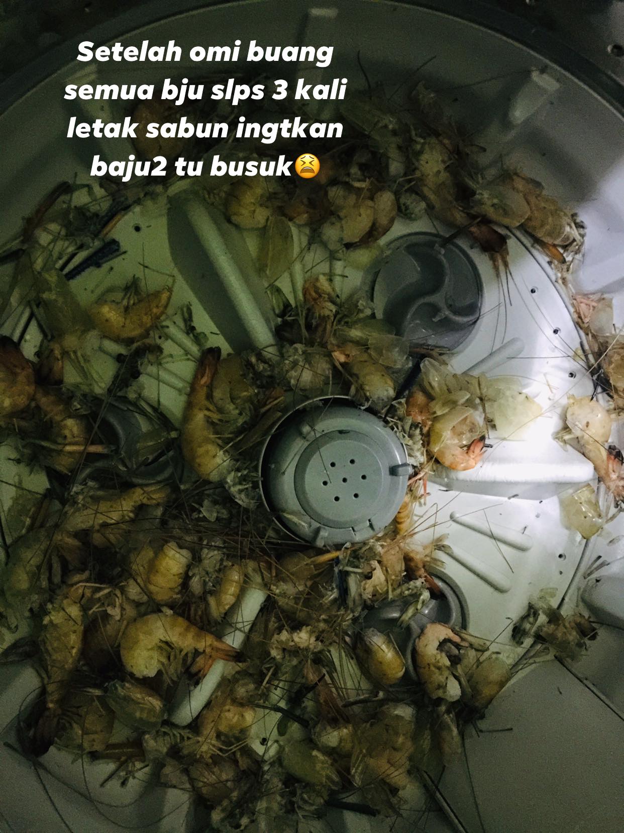 Tiga Kali Basuh Tetap Baju Bau Busuk, Ibu Tak Sedar Ada Udang 'Berenang ...