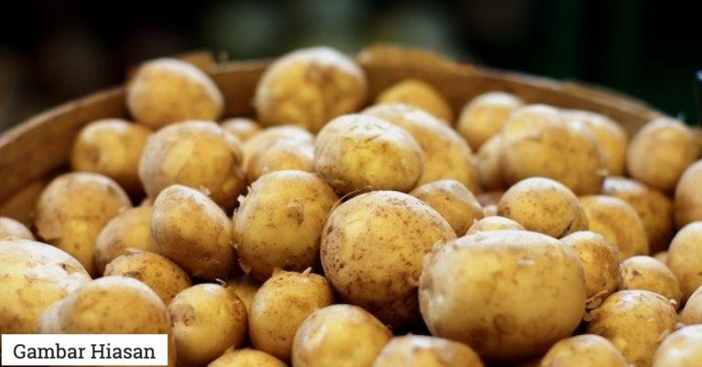 Ini 6 Tips Simpan Kentang Agar Tidak Cepat Busuk Dan Rosak