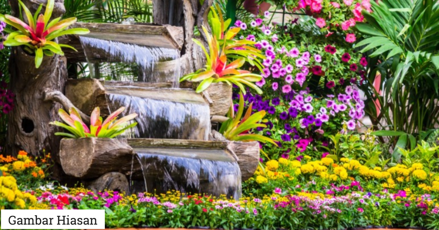 12 Jenis Pokok Bunga Ini Sesuai Ditanam Di Rumah, Buat Kediaman Lebih Ceria