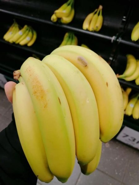 Pelanggan Pasar Raya Terkejut, Jumpa Kepompong Labah-Labah Berbisa Pada ...