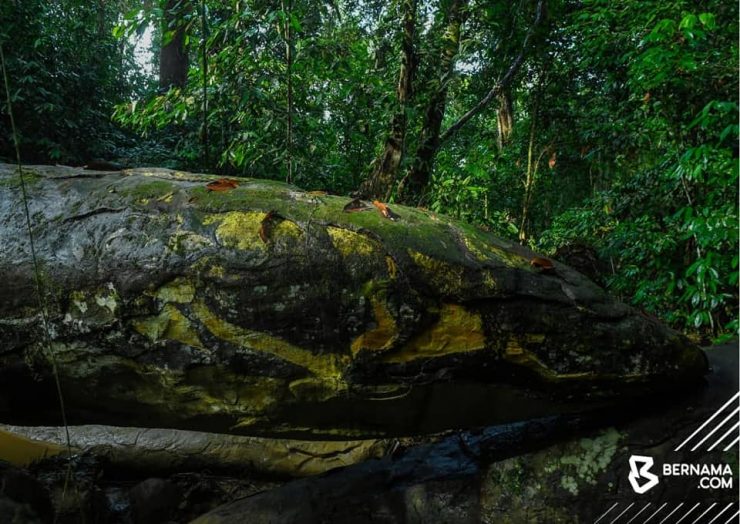 (Foto) Seakan Ular Gergasi Bertukar Jadi Batu, Cerita Tentang 'Batu ...