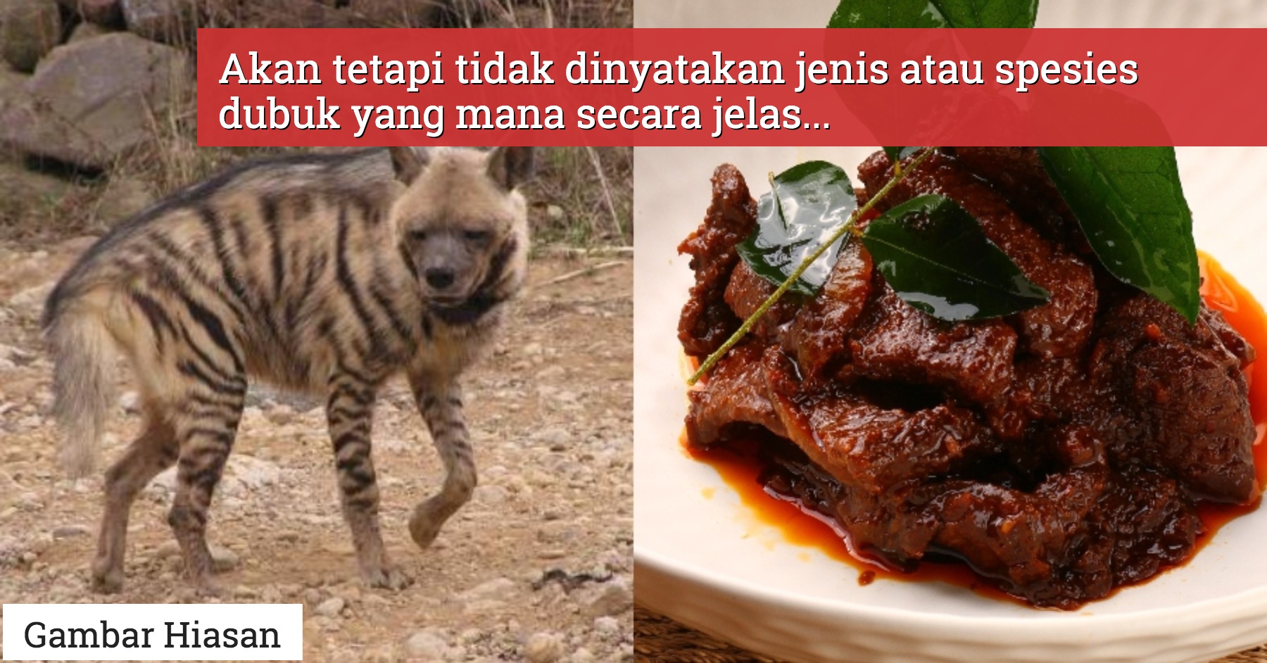 Diharuskan Untuk Makan Daging Dubuk Sebagaimana Pendapat Majoriti Ulama ...