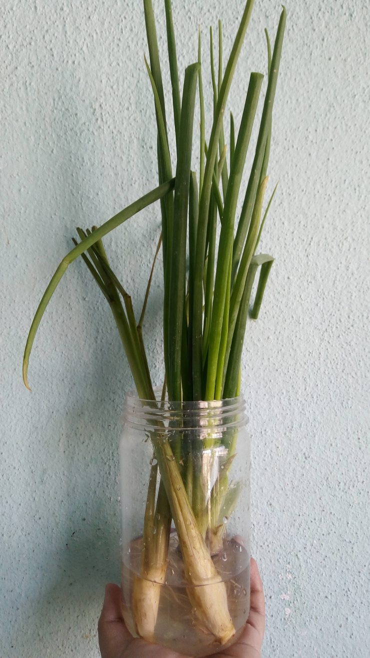 2 Minggu Masih 'Fresh', Petua Simpan Sayur & Ulam Untuk Tahan Lebih Lama