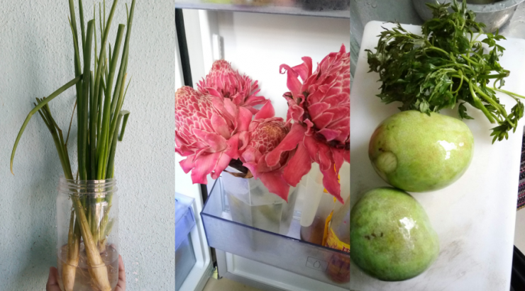 2 Minggu Masih 'Fresh', Petua Simpan Sayur & Ulam Untuk Tahan Lebih Lama