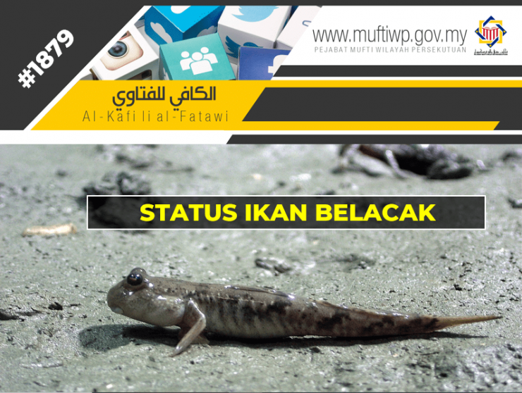 Mufti Perjelas Status Dua Alam Ikan Belacak & Adakah Ia Boleh Dimakan ...