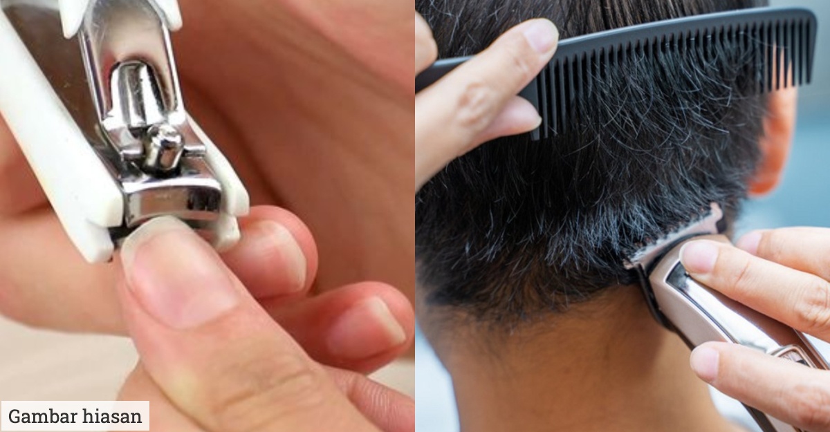 Bagi Yang Ingin Lakukan Ibadah Korban, Betul Ke Tak Boleh Potong Kuku ...