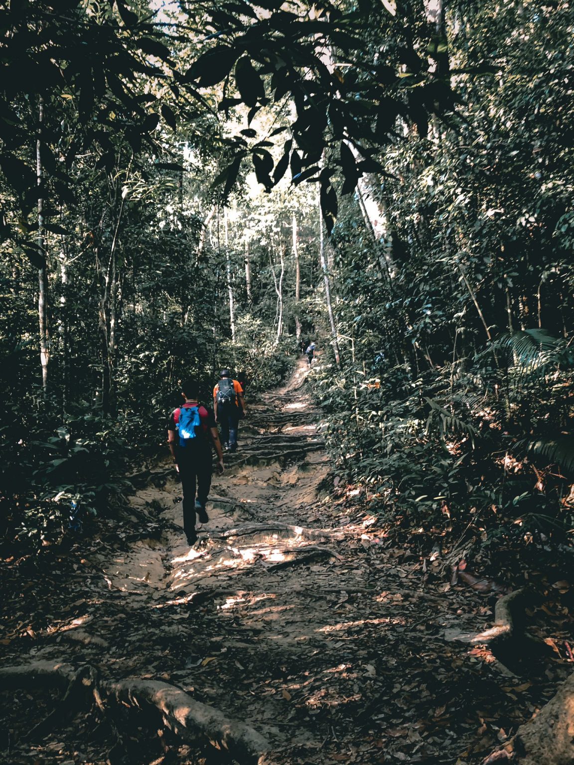 Asyik Broga Je, Ini 26 Lokasi 'Hiking' Menarik Yang Sesuai Untuk ...