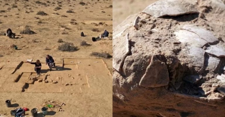 Ahli Arkeologi Dilapor Temui Telur Burung Unta Berusia 4,000 Hingga ...