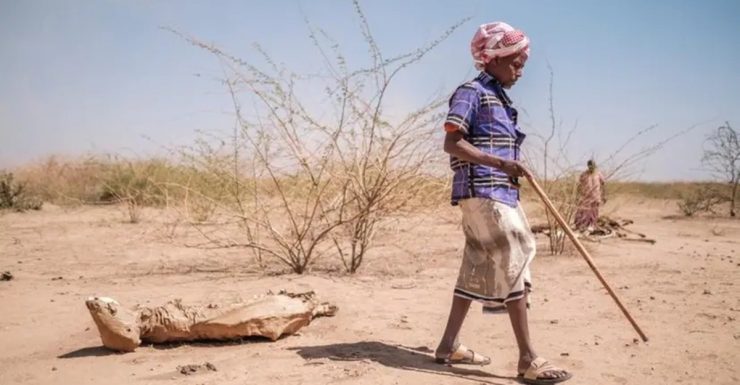 Kemarau Terburuk Landa Benua Afrika, 22 Juta Penduduk Berdepan Masalah ...