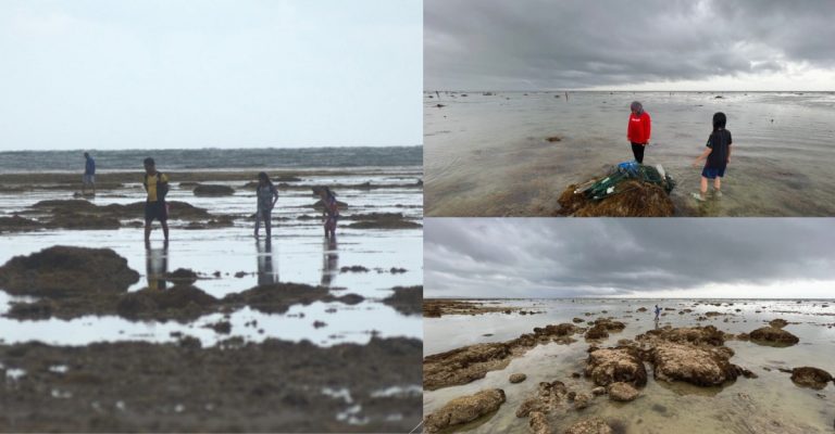 Air Pasang Merah Di Sabah: Penduduk Labuan Dinasihatkan Elak Makan ...