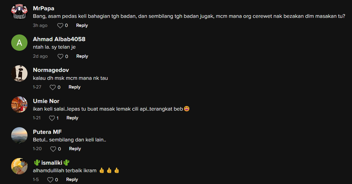 Mungkin Ramai Tak Tahu, Ini Beza Ikan Keli & Ikan Sembilang