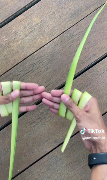 Senang, Abang Ni Ajar Cara Nak Anyam Sendiri Ketupat Daun Kelapa