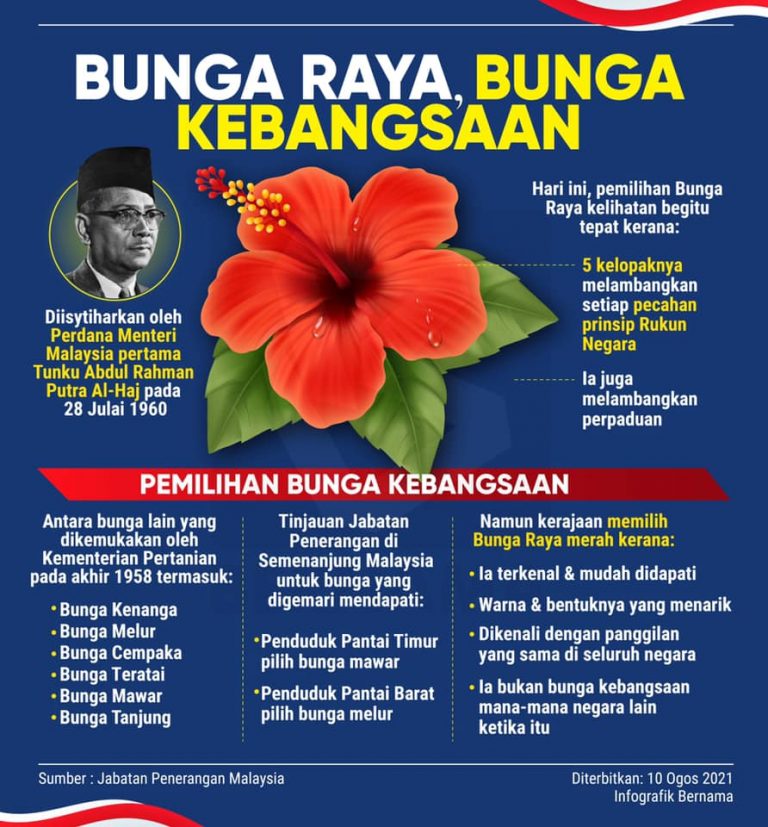 Kenapa Bunga Raya Dipilih Sebagai Bunga Kebangsaan? Ini Sejarahnya Yang ...
