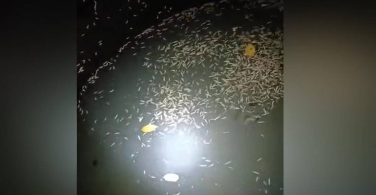 UMS Sahkan Kejadian Pencemaran Tangki Di Kolej Kediaman